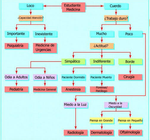 Algoritmo para elegir especialidad médica